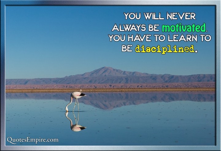 This meme makes you realize that you should not rely on the emotional ...