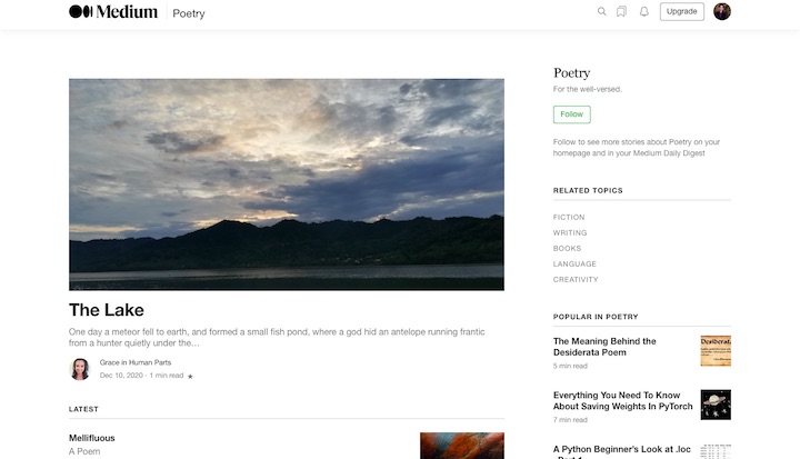 Medium is a famous writing platform with a large community. It also has ...